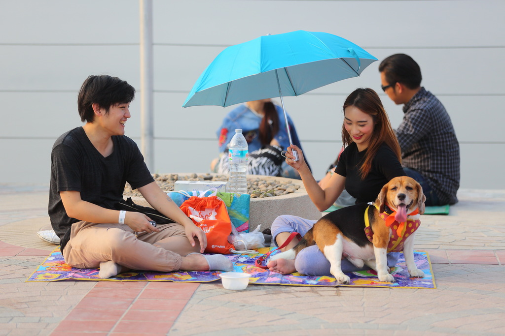 Dog Chill Out Charity Concert by the Lake ครั้งที่ 2 | Eventpop