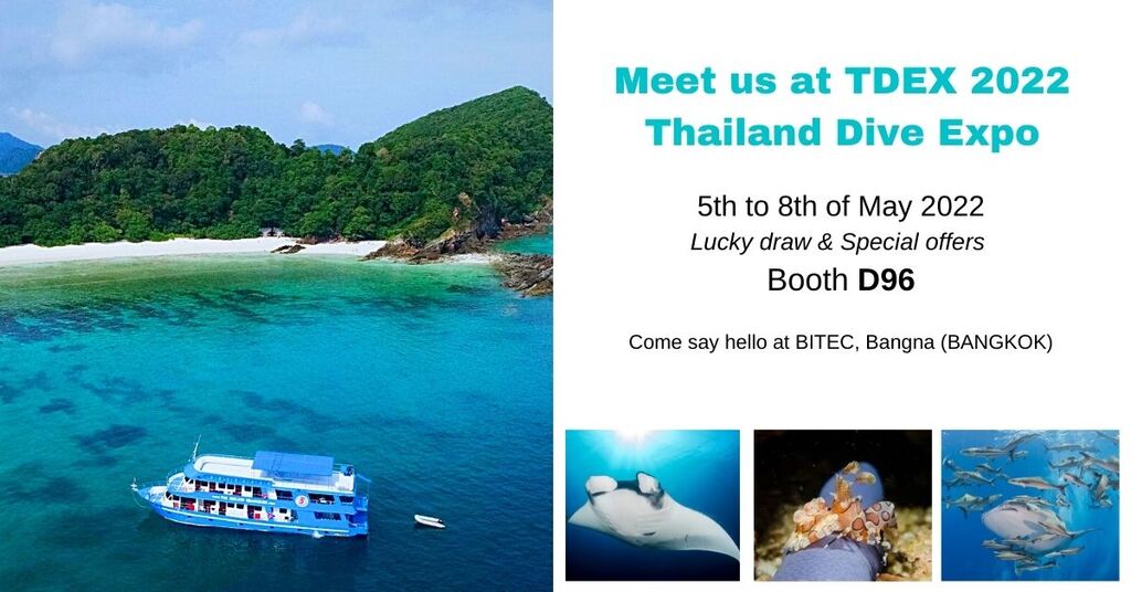 TDEX - The Smiling Seahorse | Eventpop