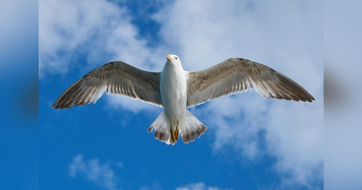 Data Driven Love: จีบแบบ Dev ยังไงไม่ให้นก | Eventpop