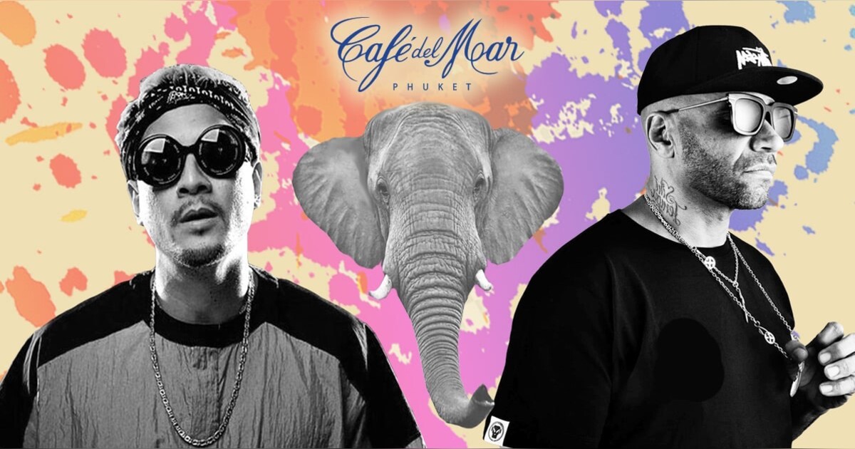 DABOYWAY, DJ GOLDIE - Electric Jungle - Raising funds to feed elephants ...