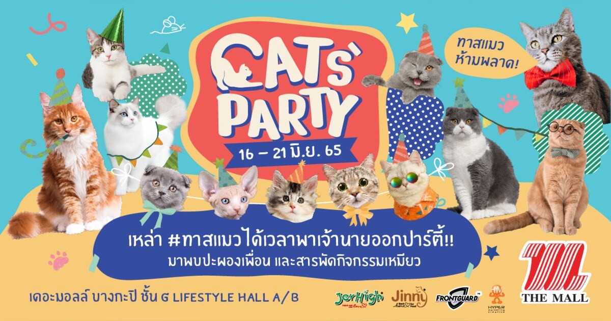 CATS’ PARTY | Eventpop