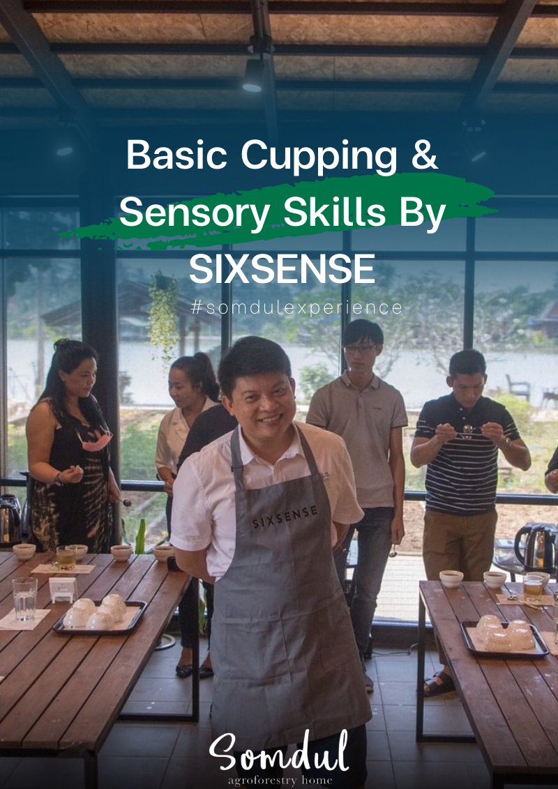 Basic Cupping & Sensory Skills By SIXSENSE | Eventpop