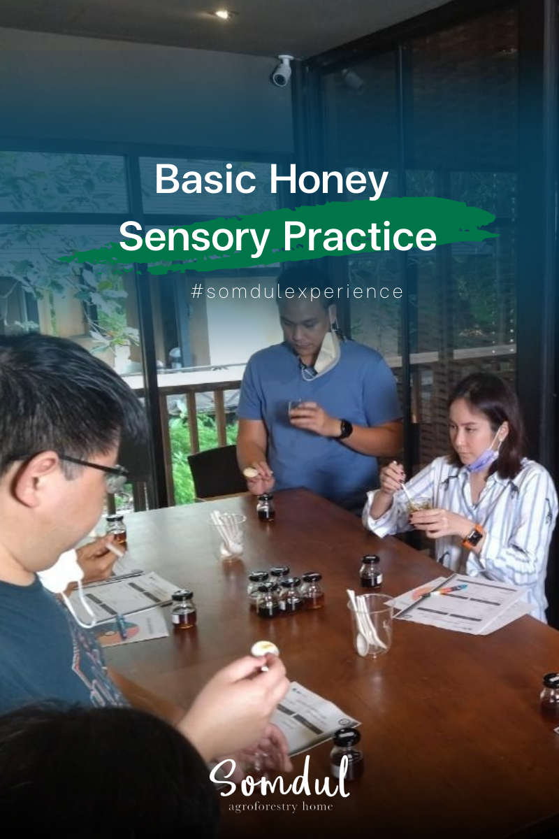 Basic Honey Sensory Practice | Eventpop | Eventpop