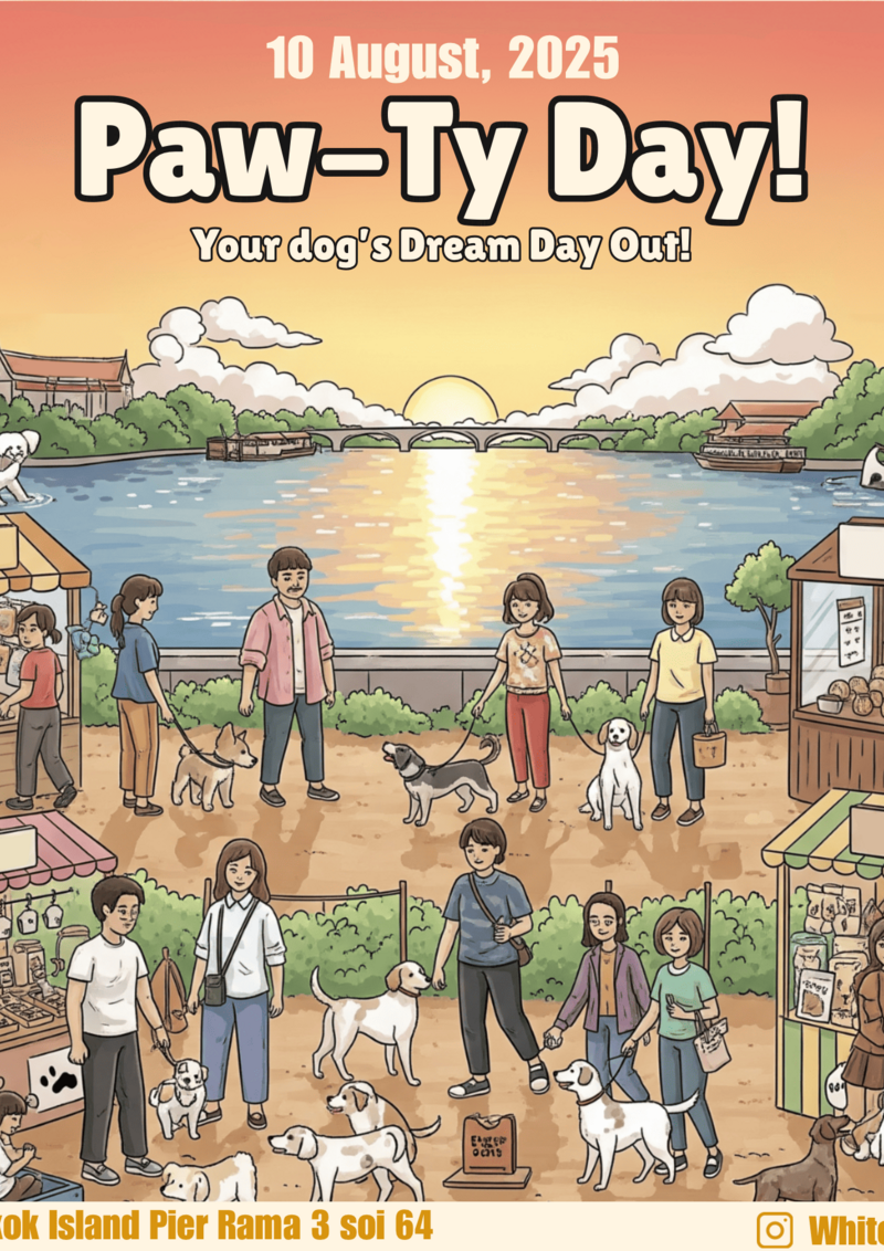 Paw-Ty Day | Eventpop